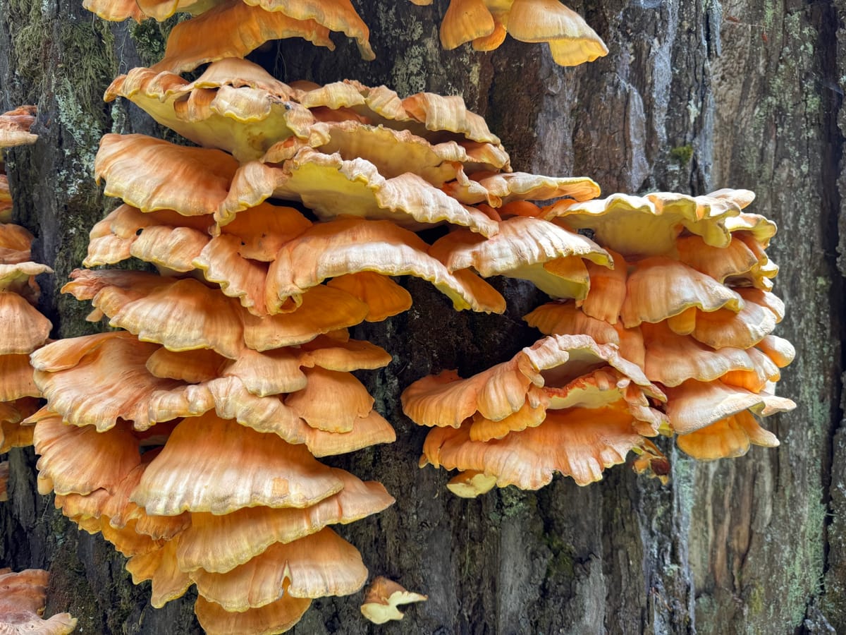 It's Time for Better GenAI Design | What We Know Before Saying It